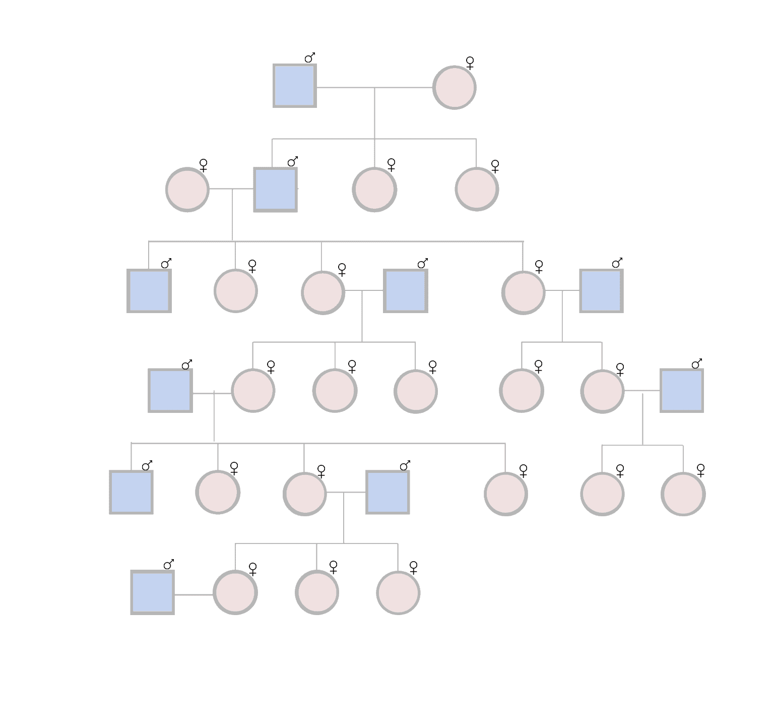 Random Family Tree Generator Builder | Rolegenerator.com